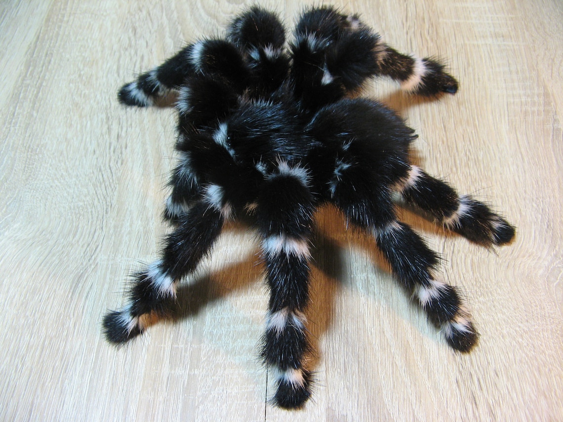 Striped Tarantula Art Doll Realistic Fake Tarantula Stuffed - Etsy