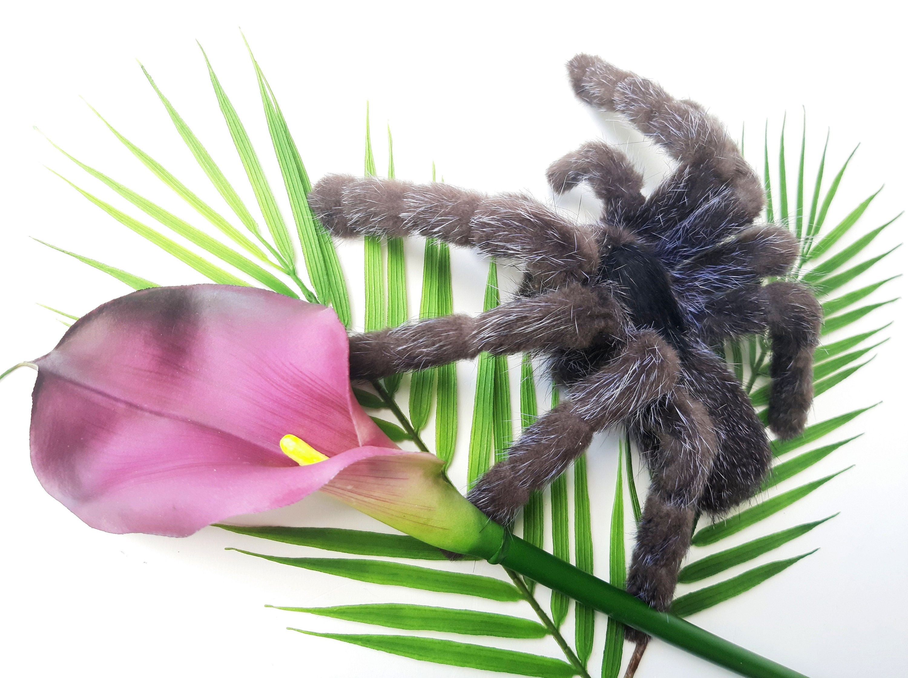Art Doll Goliath Bird Eating Spider Large Size Tarantula - Etsy
