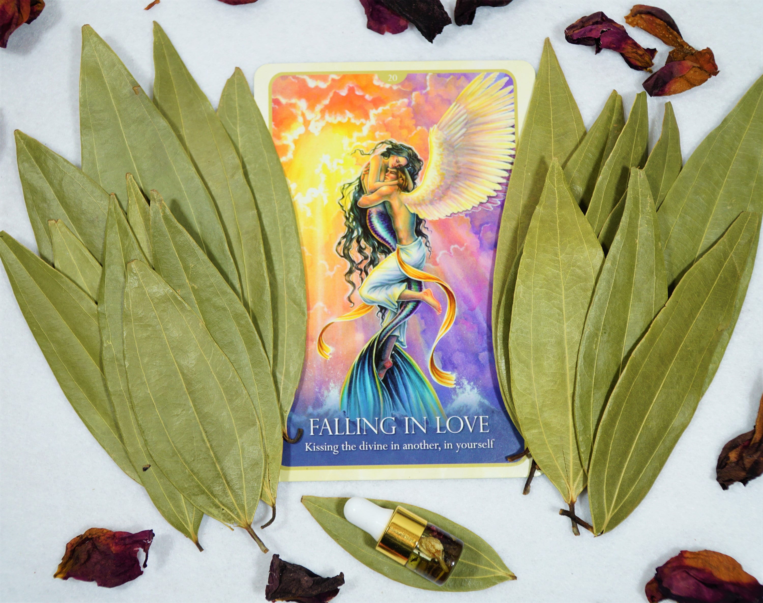 Bay Leaf LOVE Manifestation Kit 20 Whole Bay Leaves LOVE - Etsy