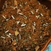 MONEY Powder Prepared With Herbs Shredded Money and More to - Etsy