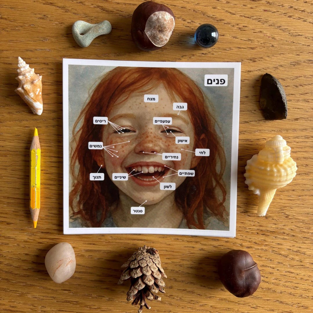 Hebrew Visual Dictionary Postcard: Body Parts. Face - Etsy