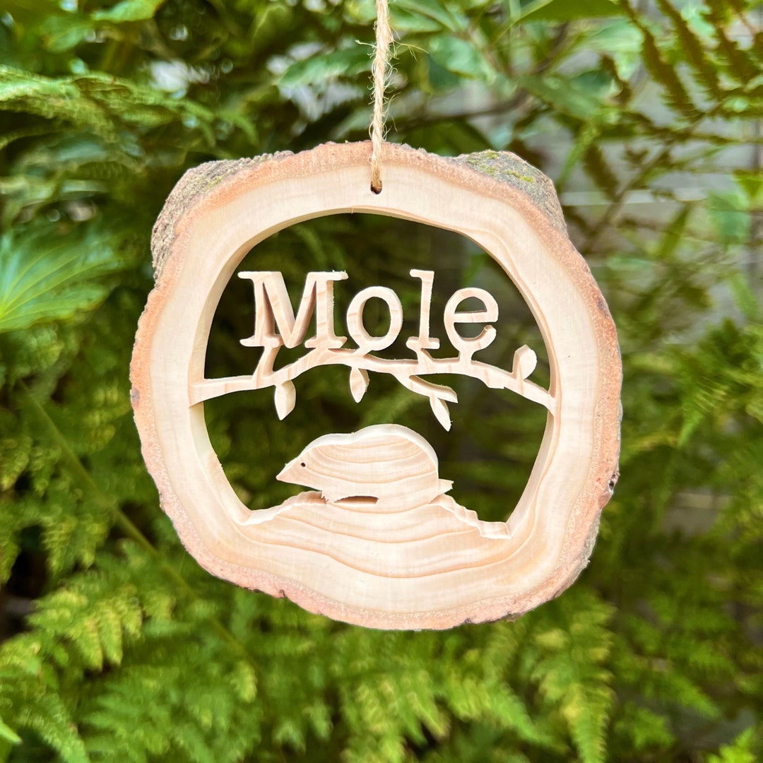 Mole Woodland Animal Wooden Hanging Decoration Handmade Recycled Wooden ...