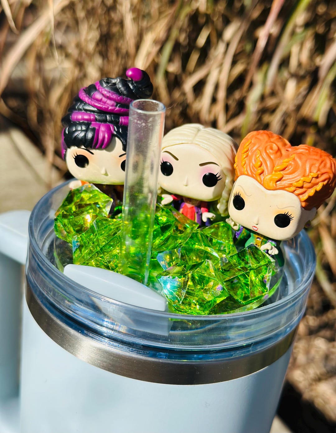 Sanderson Sisters hocus Pocus Ice Stanley Topper - Etsy