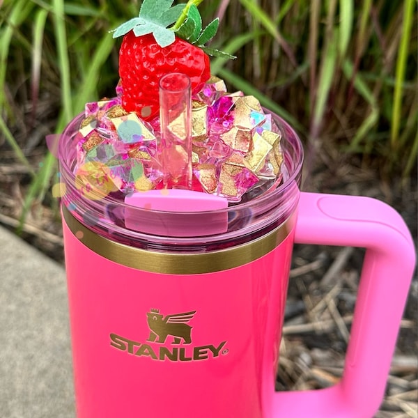 Strawberry Stanley Cup - Etsy