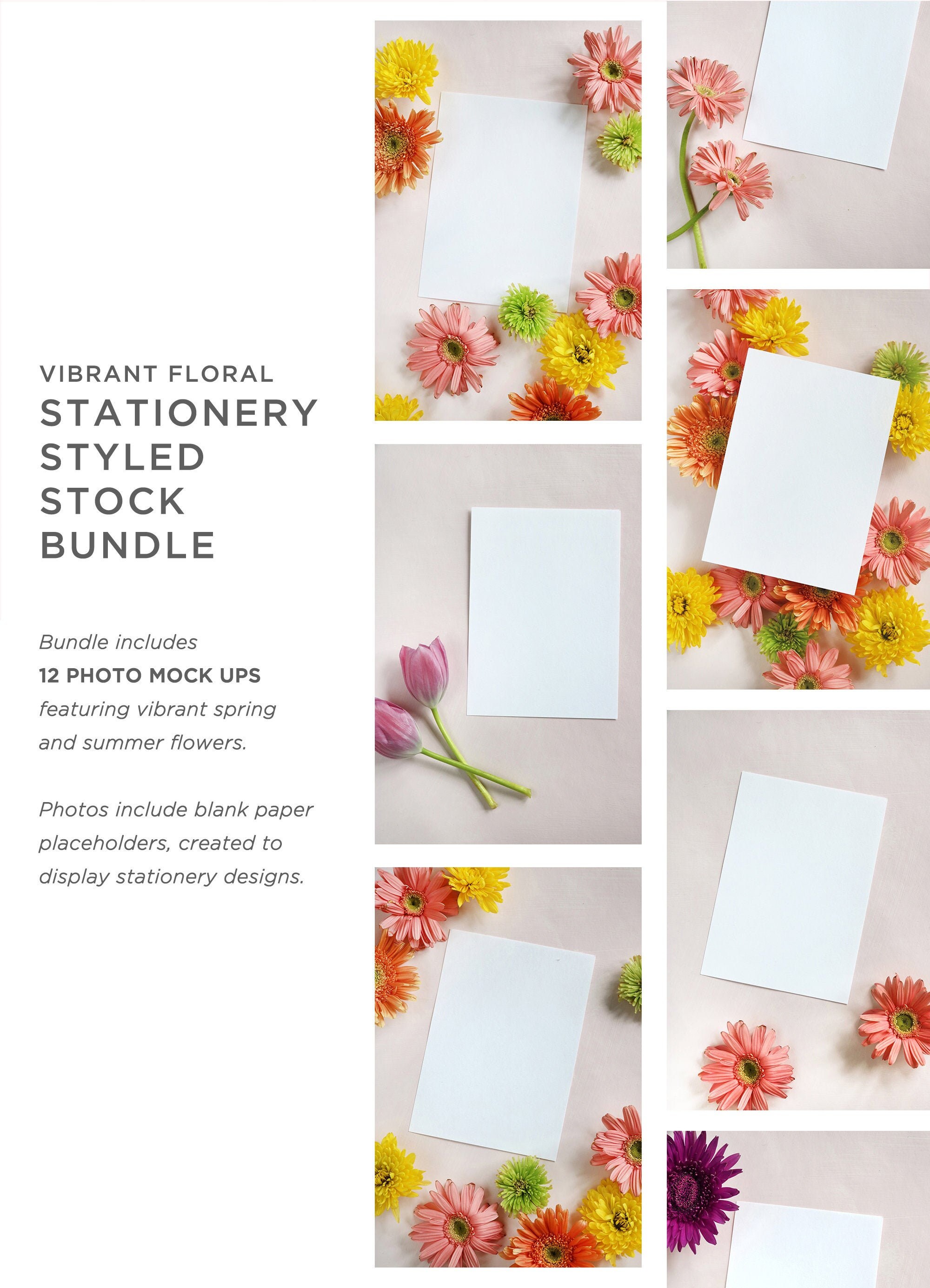 Bright Floral Stationery Styled Stock Bundle Spring Summer | Etsy