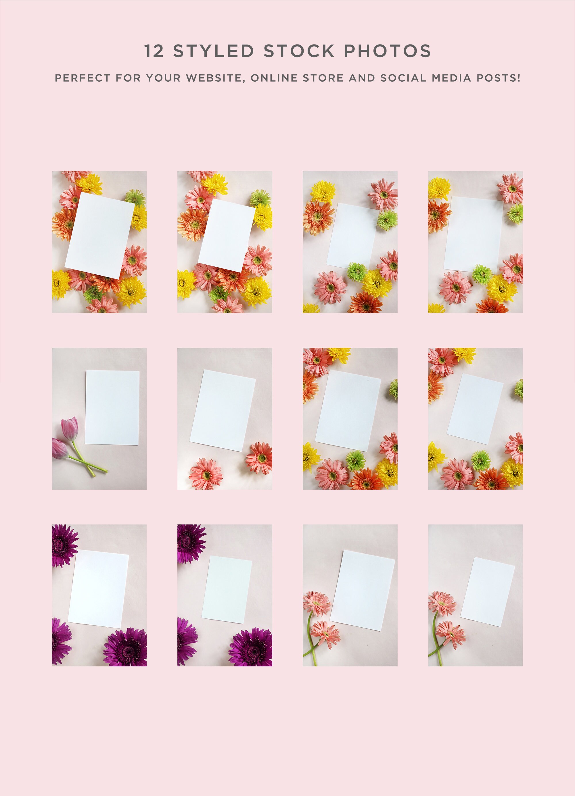 Bright Floral Stationery Styled Stock Bundle Spring Summer - Etsy