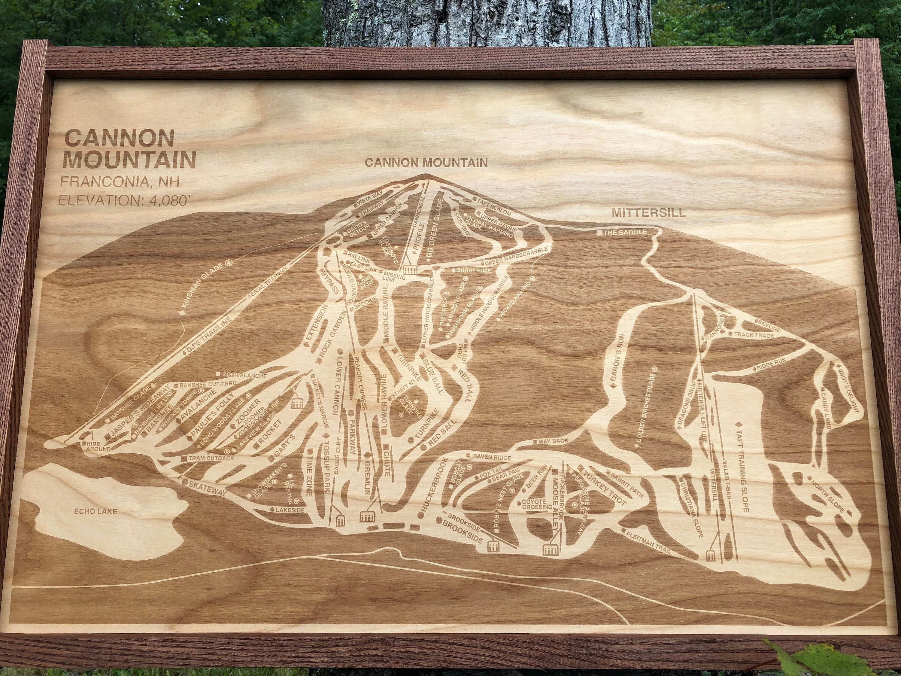 Cannon Mountain Ski Trail Map - Etsy