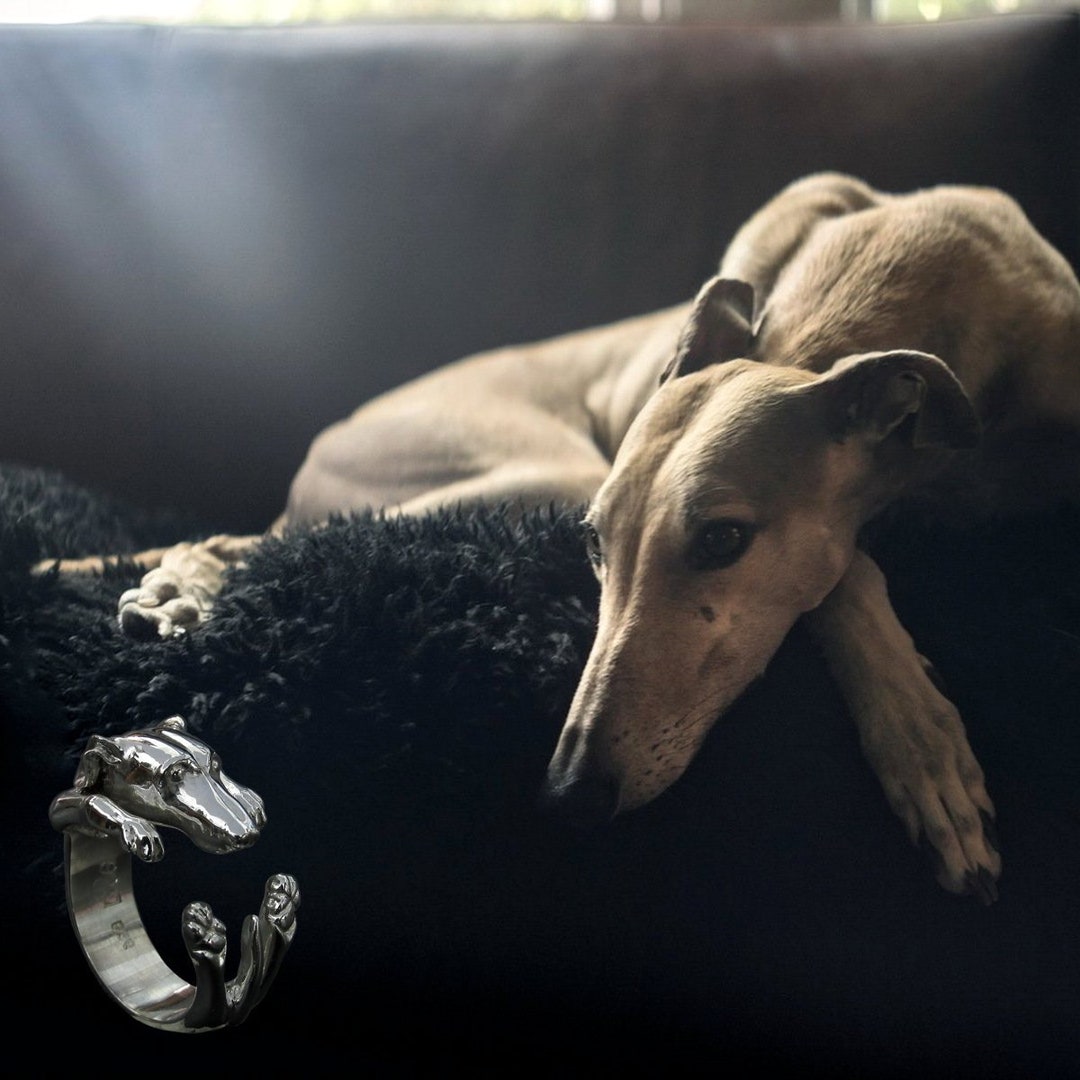 Greyhound Silver Ring, 925 Silver Sighthound, Azawakh Hug Ring, Galgo ...