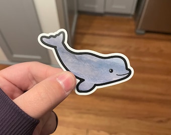 Happy Beluga Whale Waterproof Vinyl Sticker - Etsy