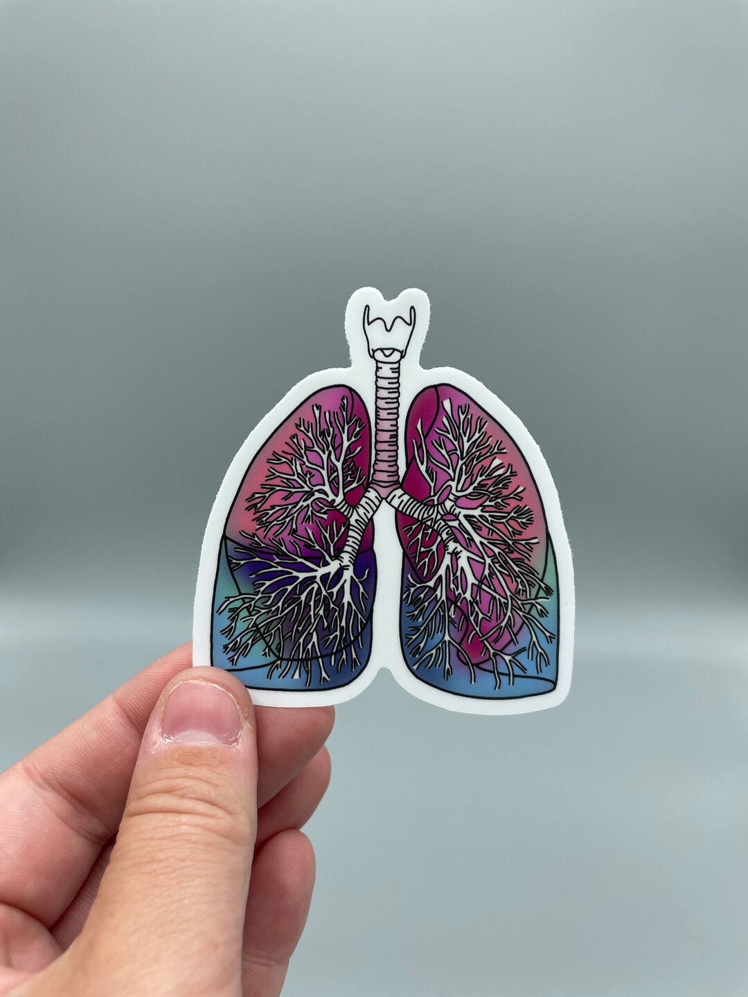 Anatomical Lungs Sticker - Etsy
