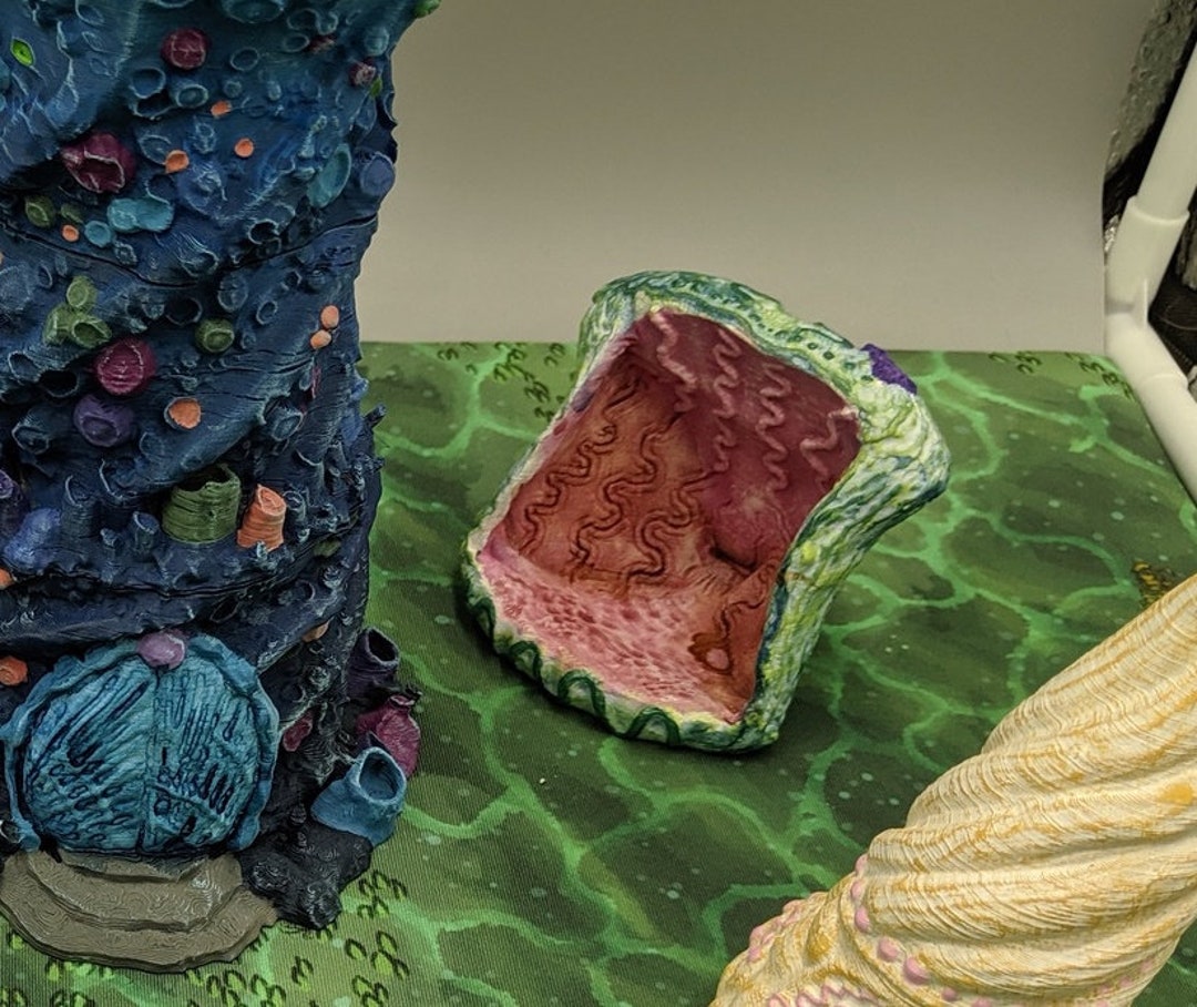 Dnd Clam Hut Coral Reef Living Underwater Merfolk House City Marine ...