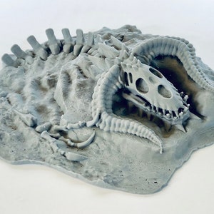 Dnd Black Dragon Skeleton Remains Boneyard Bones Bone Pit Tabletop ...