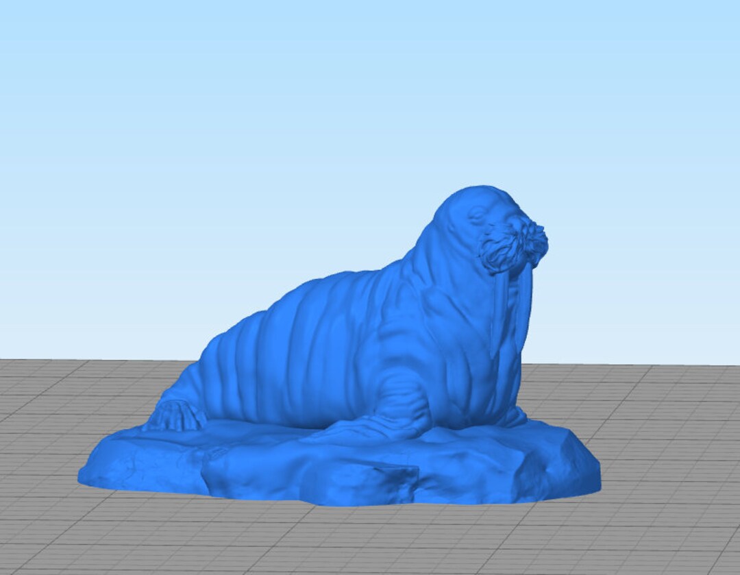 Dnd Walrus Rock Marine Mammal Arctic Nordic Ice Animals Tabletop ...