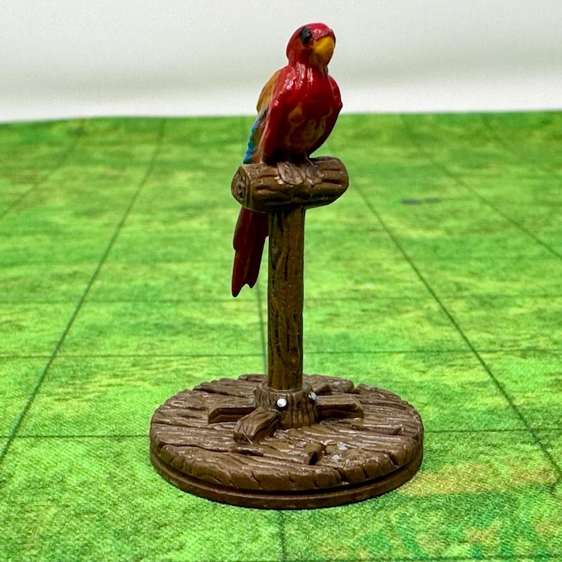 Pathfinder Parrot Miniature - Etsy