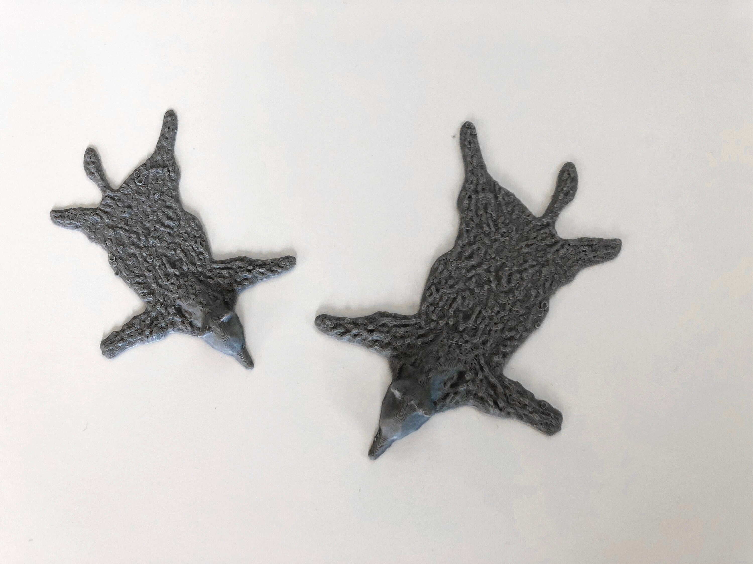 Dnd Wolf Pelt Skin Rug Fur Trade Hunter Tanning Dire Wolf - Etsy