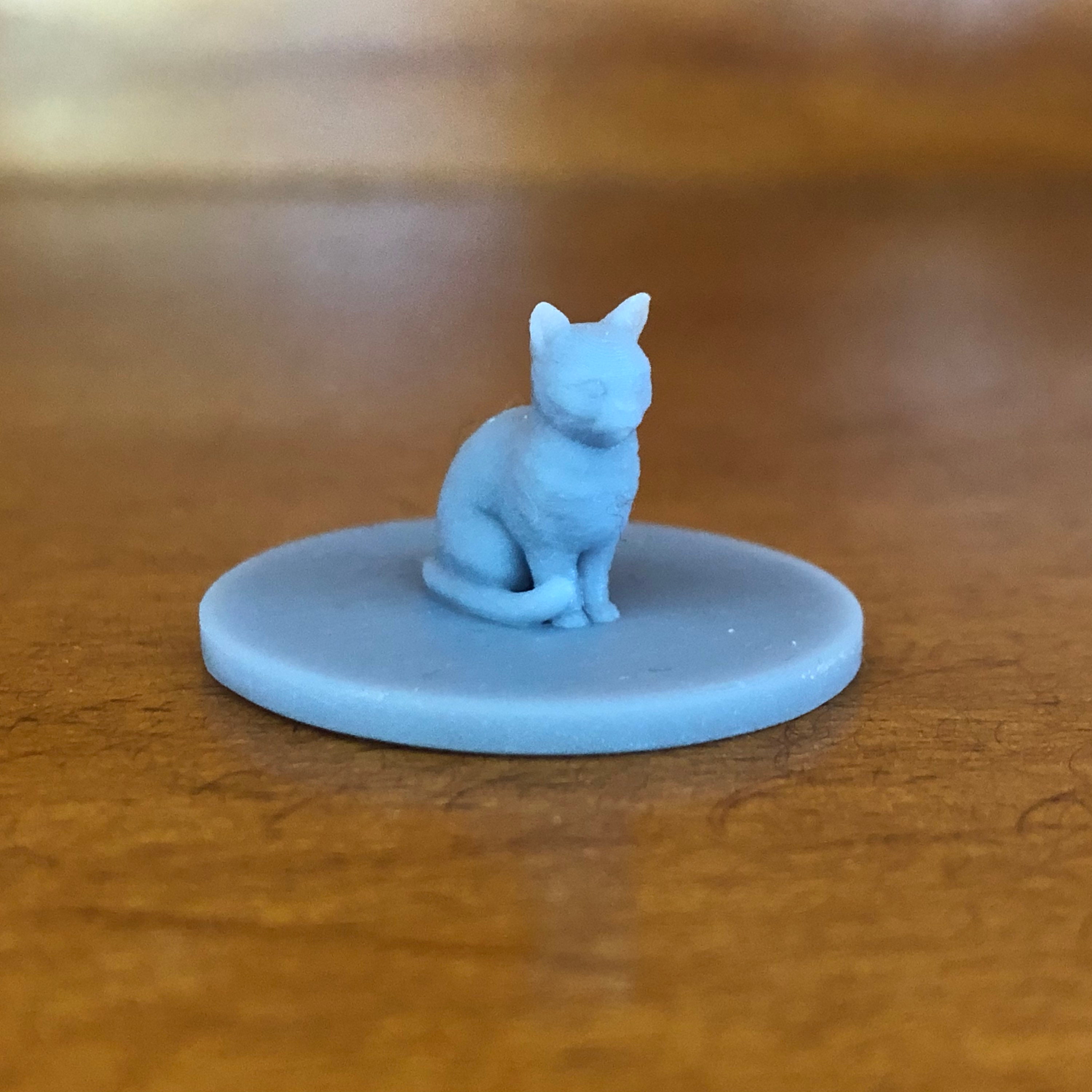Dnd Tabby Cat Wizard Pet Animal Companion 28mm RESIN Miniature ...