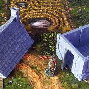 Dnd Small Cottage From City of Tarok Terrain Wargaming Games RPG D&D ...