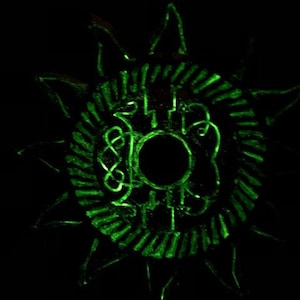 Dnd Holy Symbol of Ravenkind Amulet Emblem Necklace NO CHAIN Curse of ...