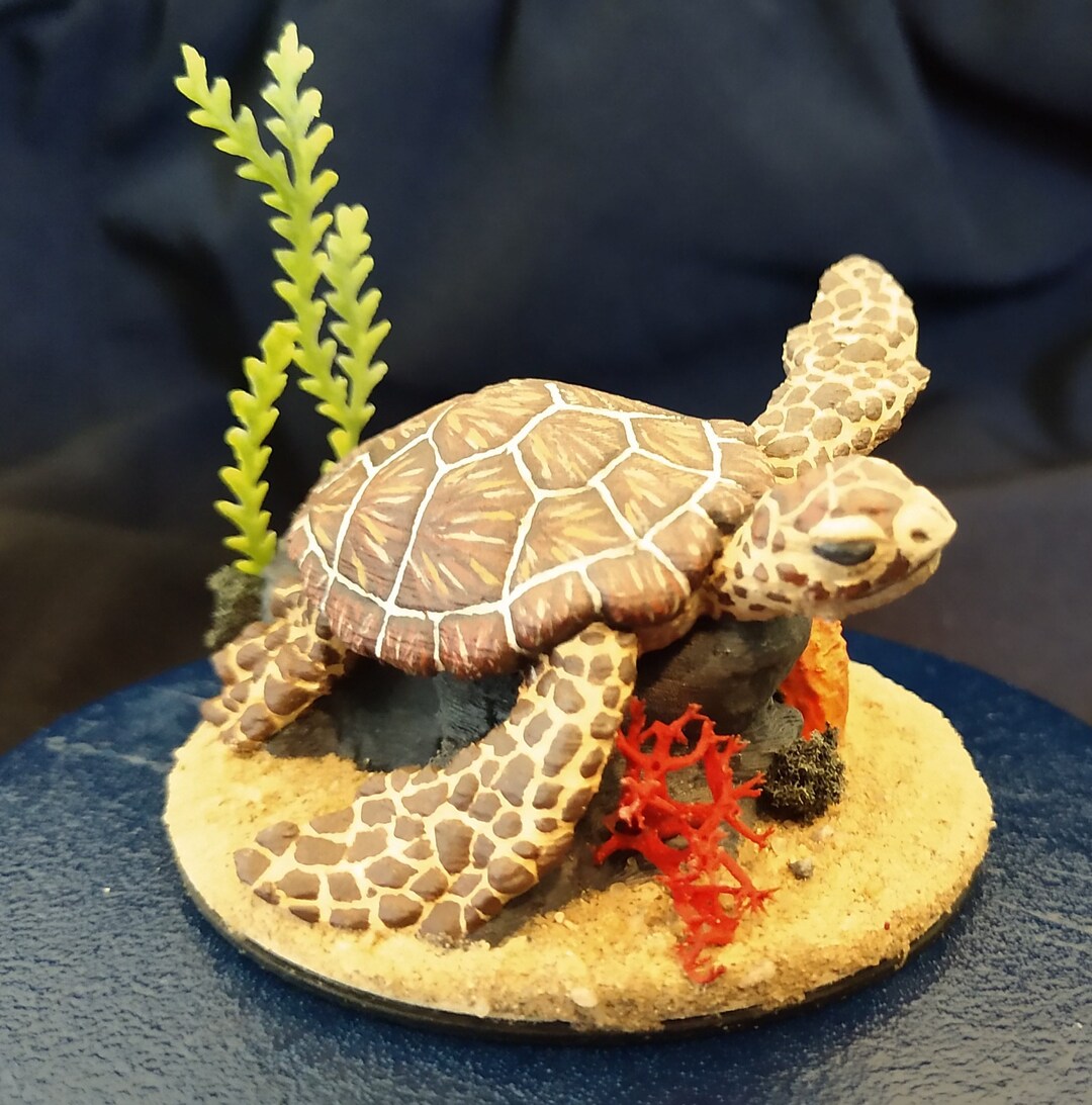 Dnd Giant Sea Turtle Marine Life Underwater Creatures Ocean Animals ...