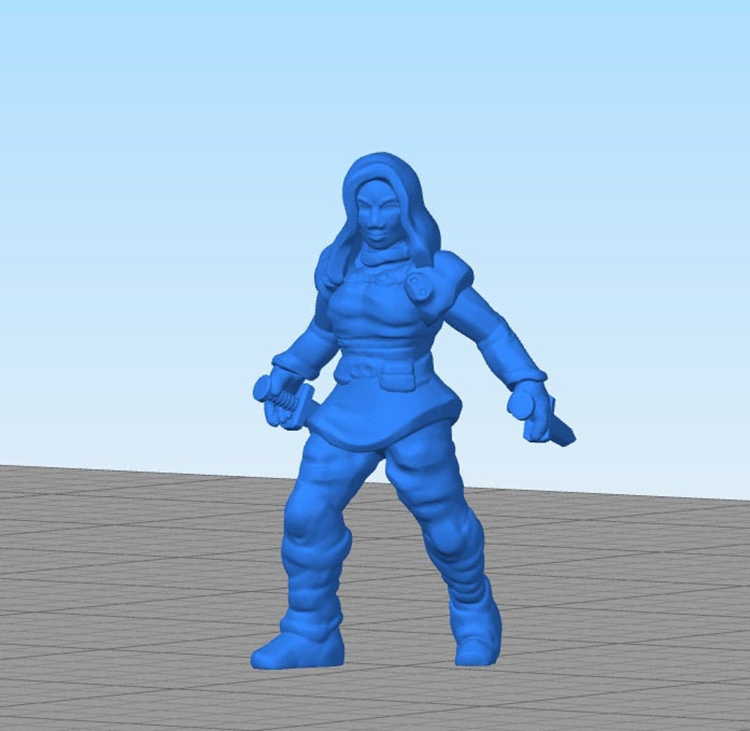 Dnd Outlaw Hero Tabletop Wargaming RPG D&D Dungeons and Dragons 28mm ...