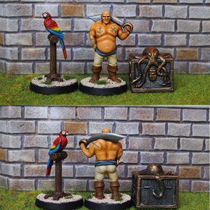 Dnd Parrot Animal Companion 28mm Resin Miniature Pirate Jungle Scatter ...