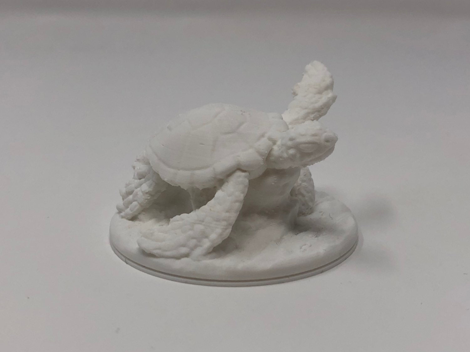 Dnd Giant Sea Turtle Marine Life Underwater Creatures Ocean Animals ...