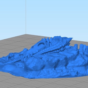 Dnd Black Dragon Skeleton Remains Boneyard Bones Bone Pit Tabletop ...