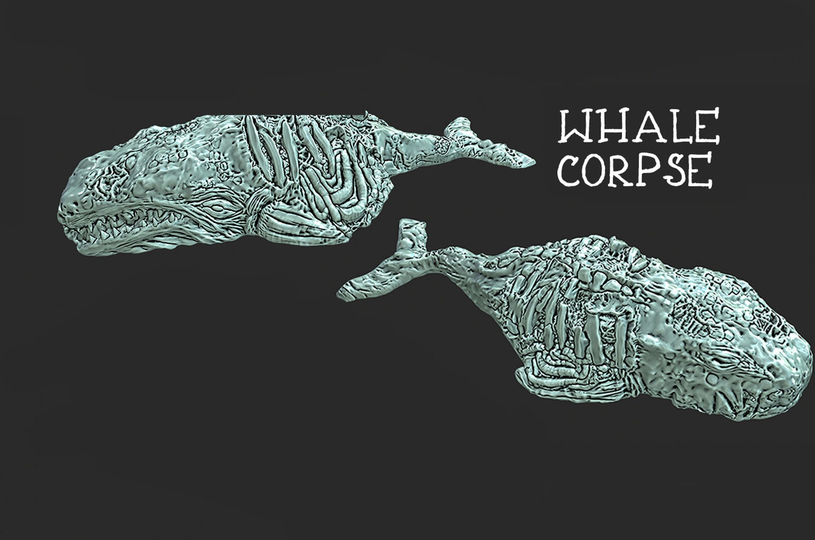 Dnd Whale Corpse Carcass Beached Tabletop Scatter Terrain Sea Creatures ...