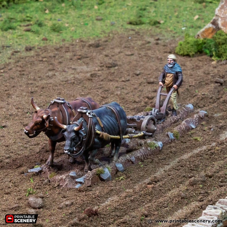 Dnd RESIN Oxen and Plow With Farmer From King and Country Village ...