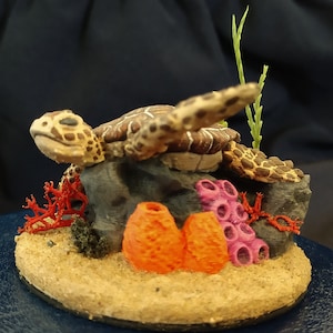 Dnd Giant Sea Turtle Marine Life Underwater Creatures Ocean Animals ...