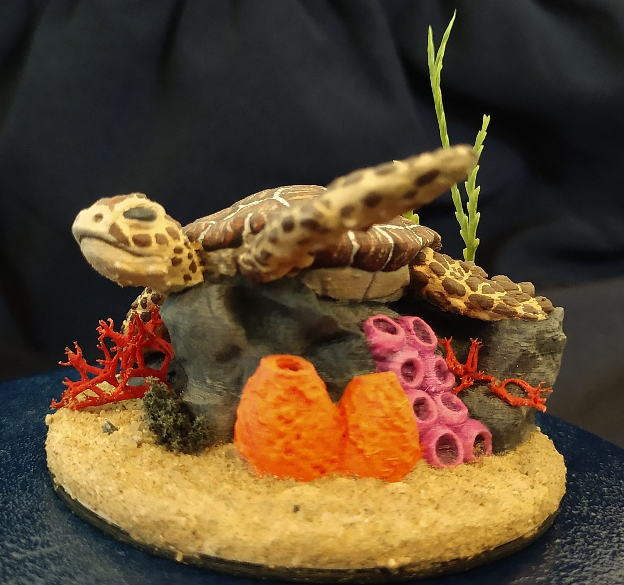 Dnd Giant Sea Turtle Marine Life Underwater Creatures Ocean Animals ...