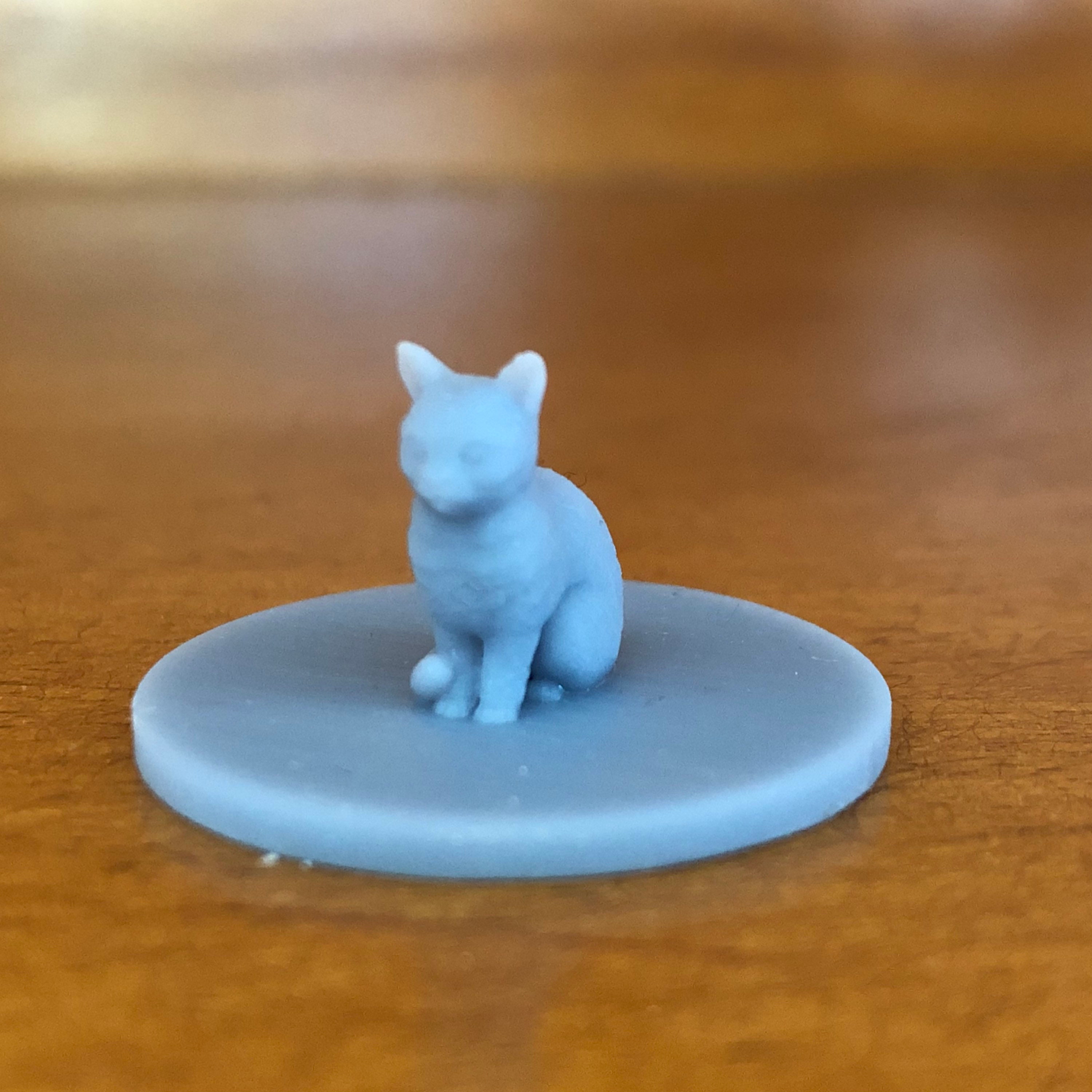 Dnd Tabby Cat Wizard Pet Animal Companion 28mm RESIN Miniature ...