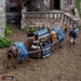 Dnd RESIN Two Horse Litter Nobleman Carriage From King and Country ...