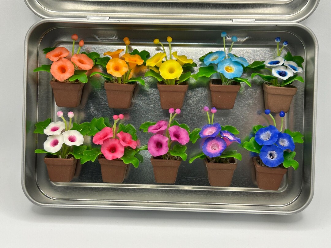 Miniature Rainbow Morning Glory Flower Magnets, Set of 10 Potted Plants ...