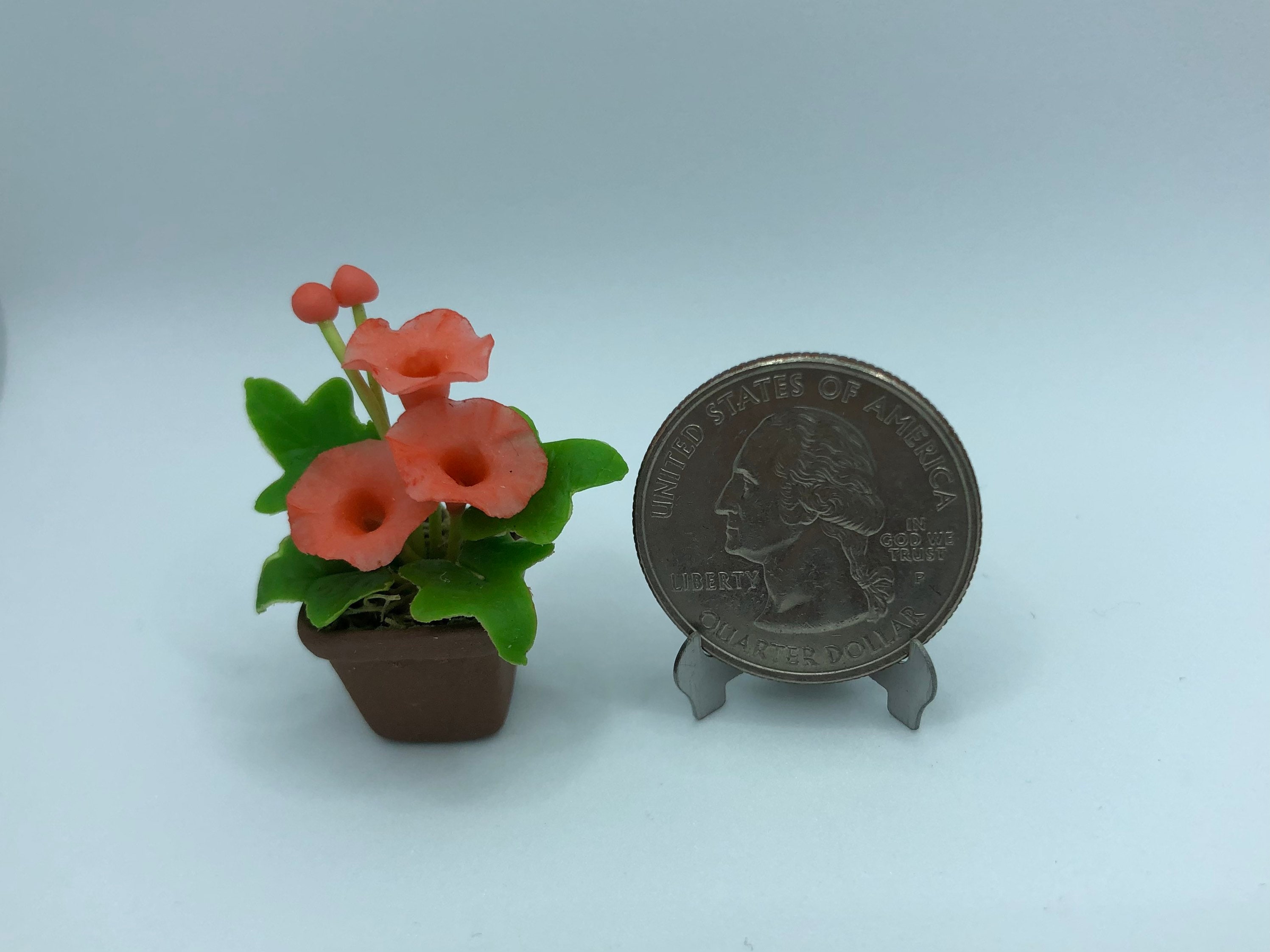 Flower Magnets, Miniature Morning Glory Refrigerator or Bulletin Board ...