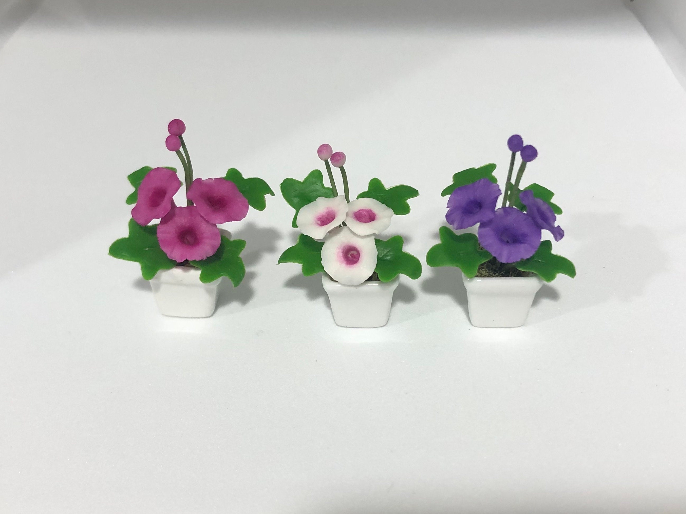 Flower Magnets, Miniature Morning Glory, Refrigerator Magnets, Mini 1: ...