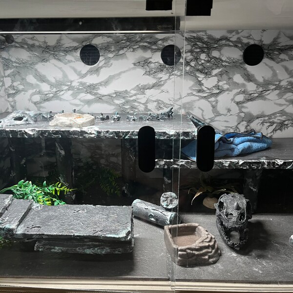 Bearded Dragon Tank Decor - Etsy