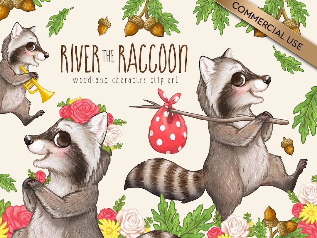 Cute Raccoon Clipart, Cute Kids Clipart, Raccoon Illustration, Woodland ...