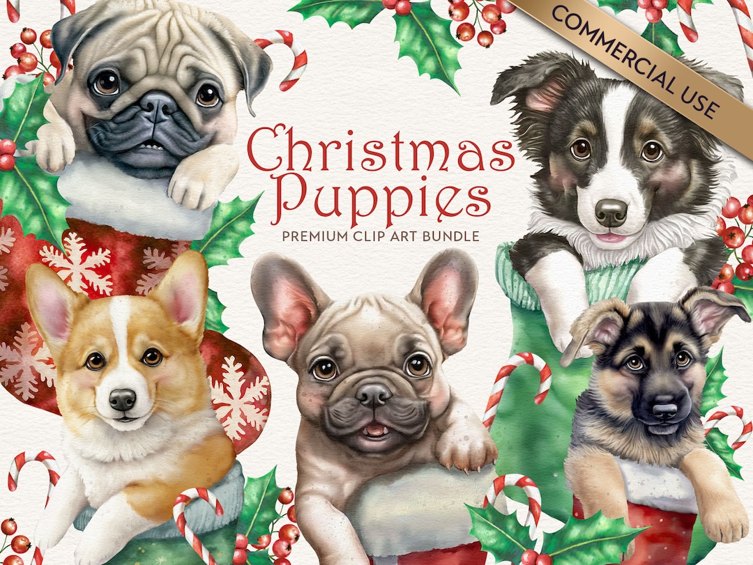 Christmas Puppy Clipart, Cute Christmas Puppies in Stockings, Dog ...