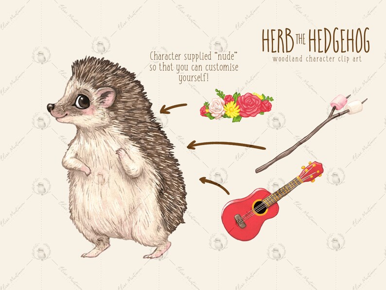 Woodland Clipart of Hedgehog Cute Hedgehog Clipart Hedgehog | Etsy