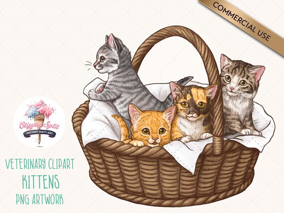 Animal Rescue Clipart
