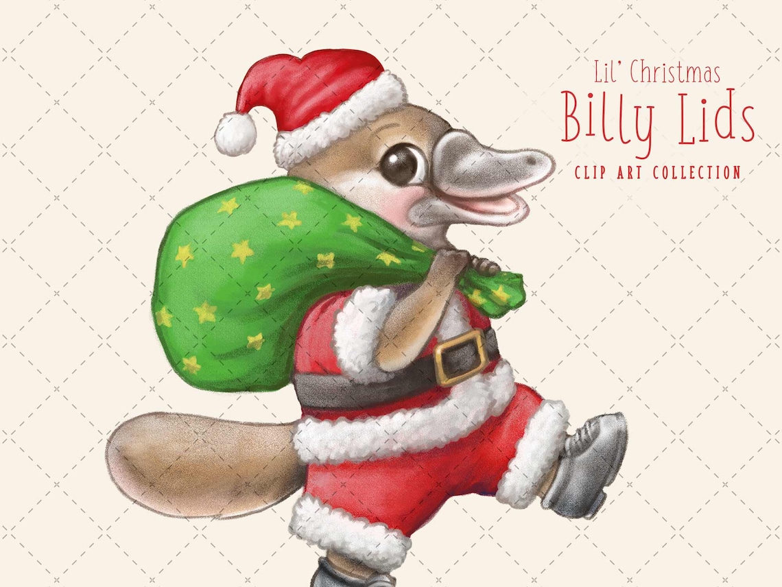 Australia Christmas Clipart Cute Australian Animal Clipart - Etsy