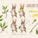 Woodland Animals Clipart Bundle Fall Cute Hand Drawn Clipart - Etsy