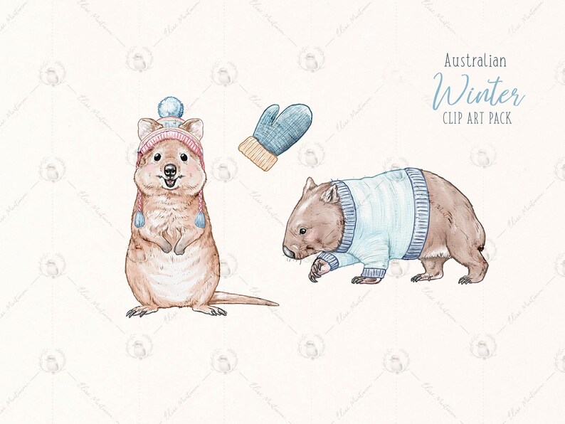 Australian Winter Clipart Bundle Australian Animals PNG Clip - Etsy