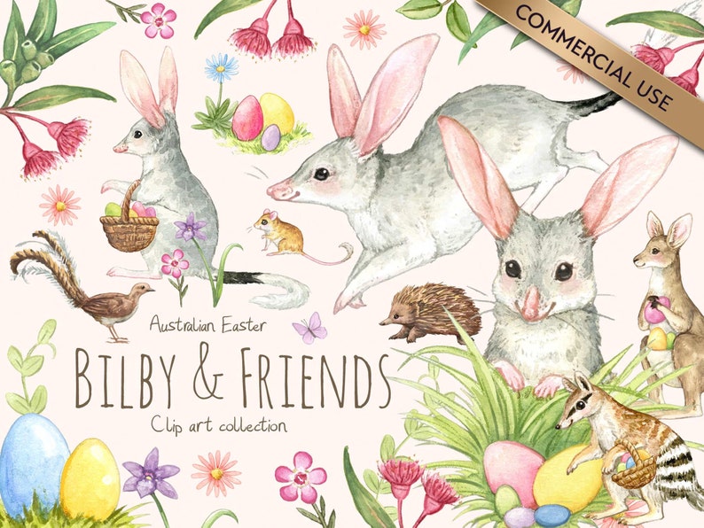 Australian Easter Bilby Clip Art | Watercolor Animals (digital Download ...