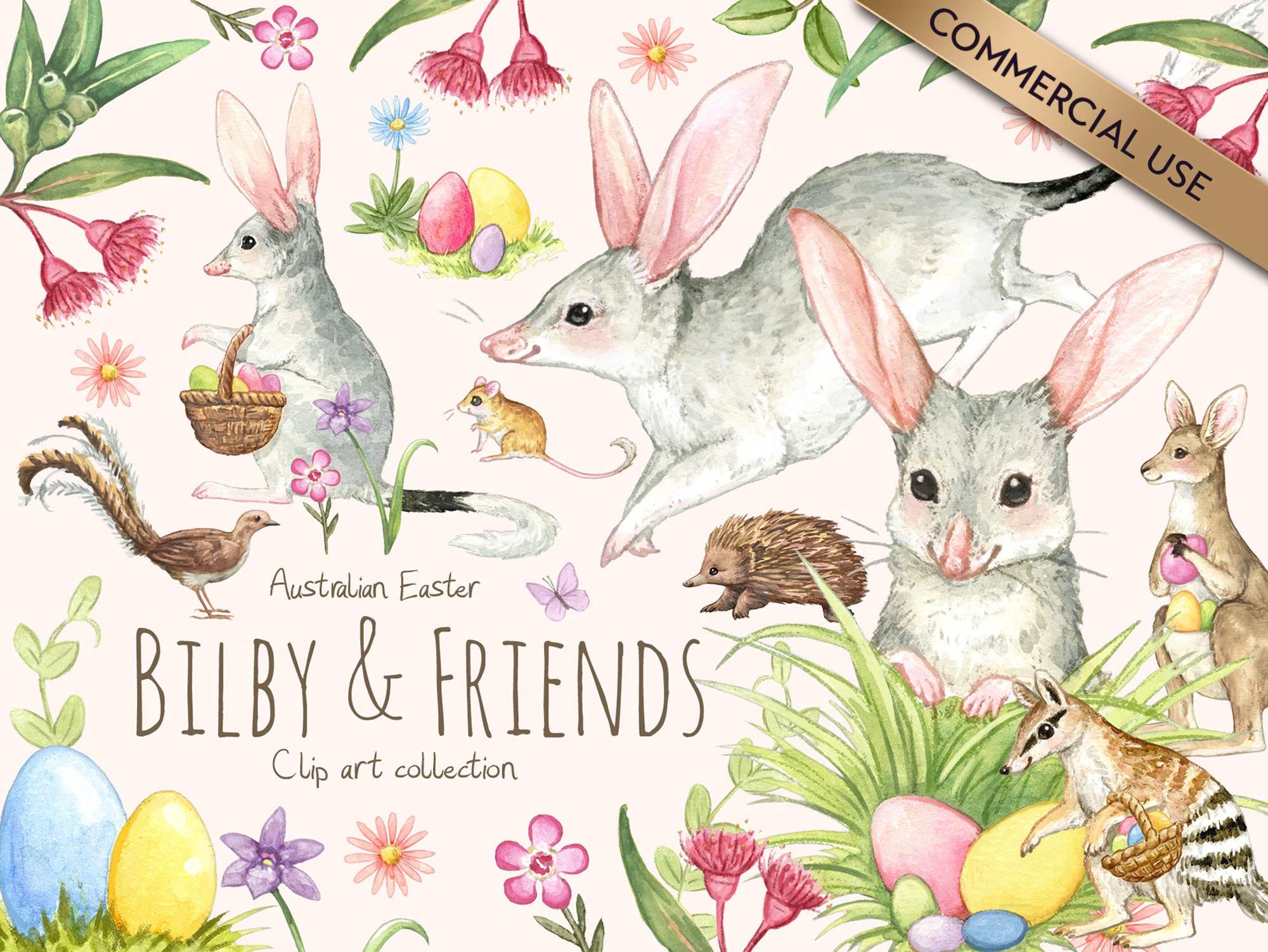 Australian Easter Bilby Clip Art Digital Download Cute - Etsy Canada