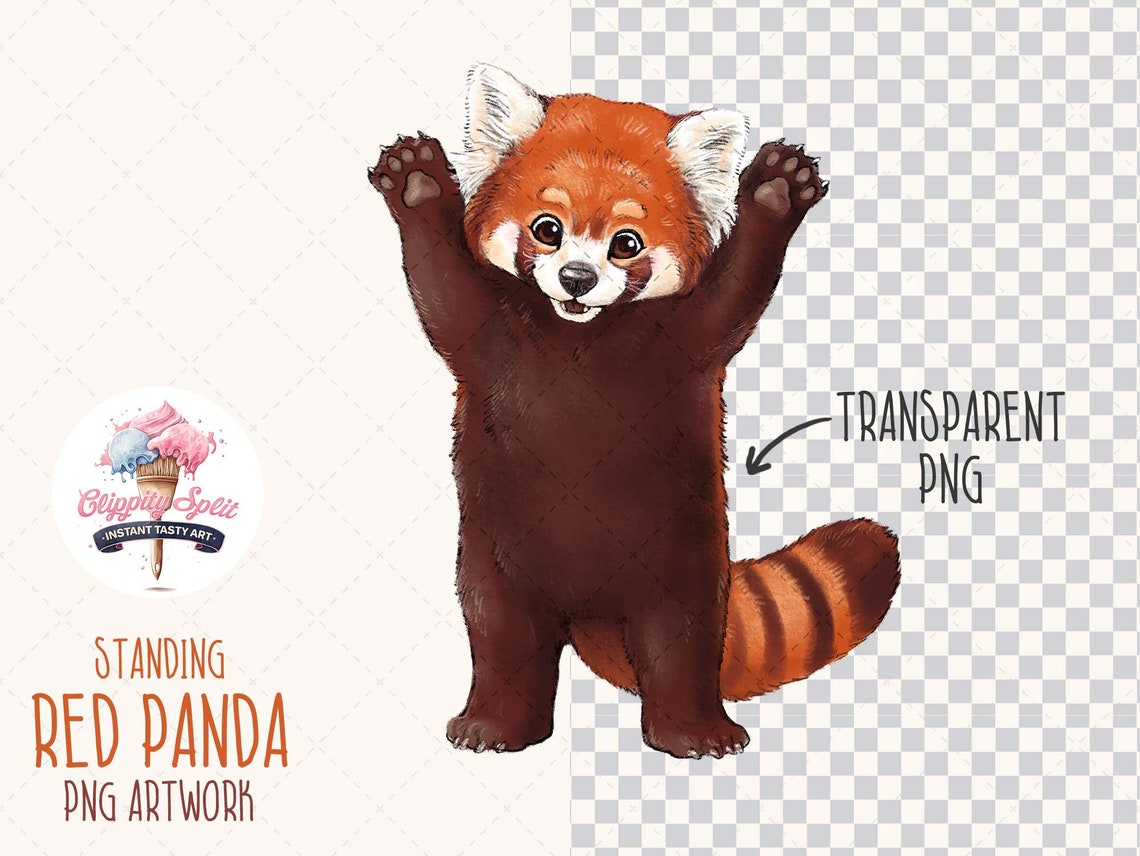 Surprised Red Panda Clipart, Standing Red Panda PNG Illustration, Red ...