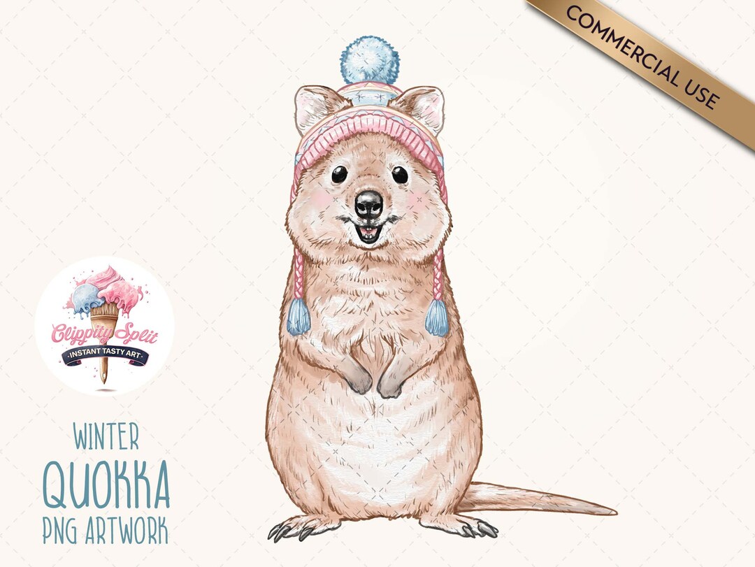 Winter Animal Clipart of Cute Quokka, Quokka PNG Illustration, Cute ...