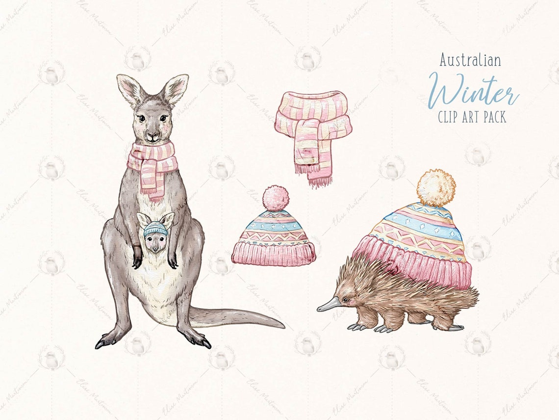 Australian Winter Clipart Bundle, Australian Animals PNG Clip Art Pack ...