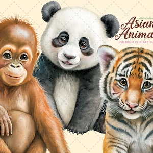 Baby Asian Animal Clipart Bundle - Watercolor Panda, Tiger, Orangutan ...